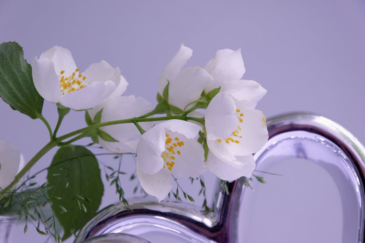 Explaining the chemical structure of JASMINE – Oo La Lab